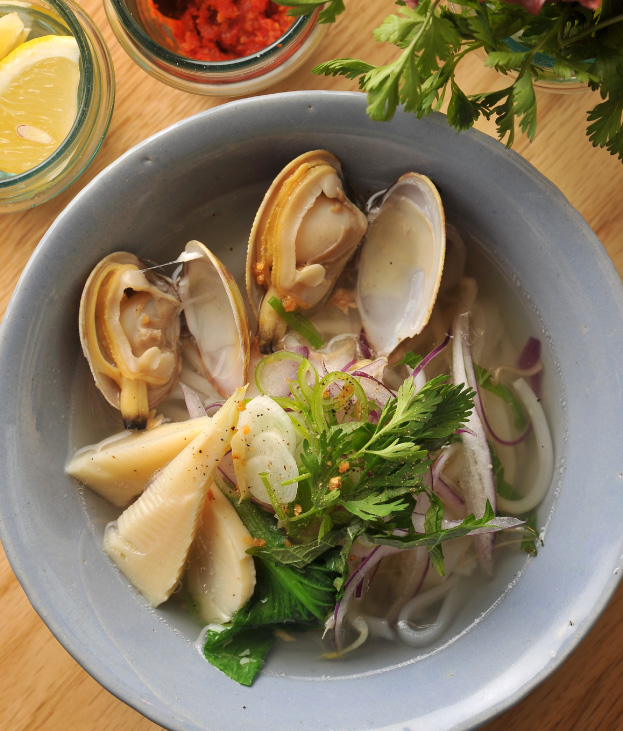 ナゴヤの大人のウェブマガジン | WEB大人の名古屋 | ネシアン 山のアトリエ